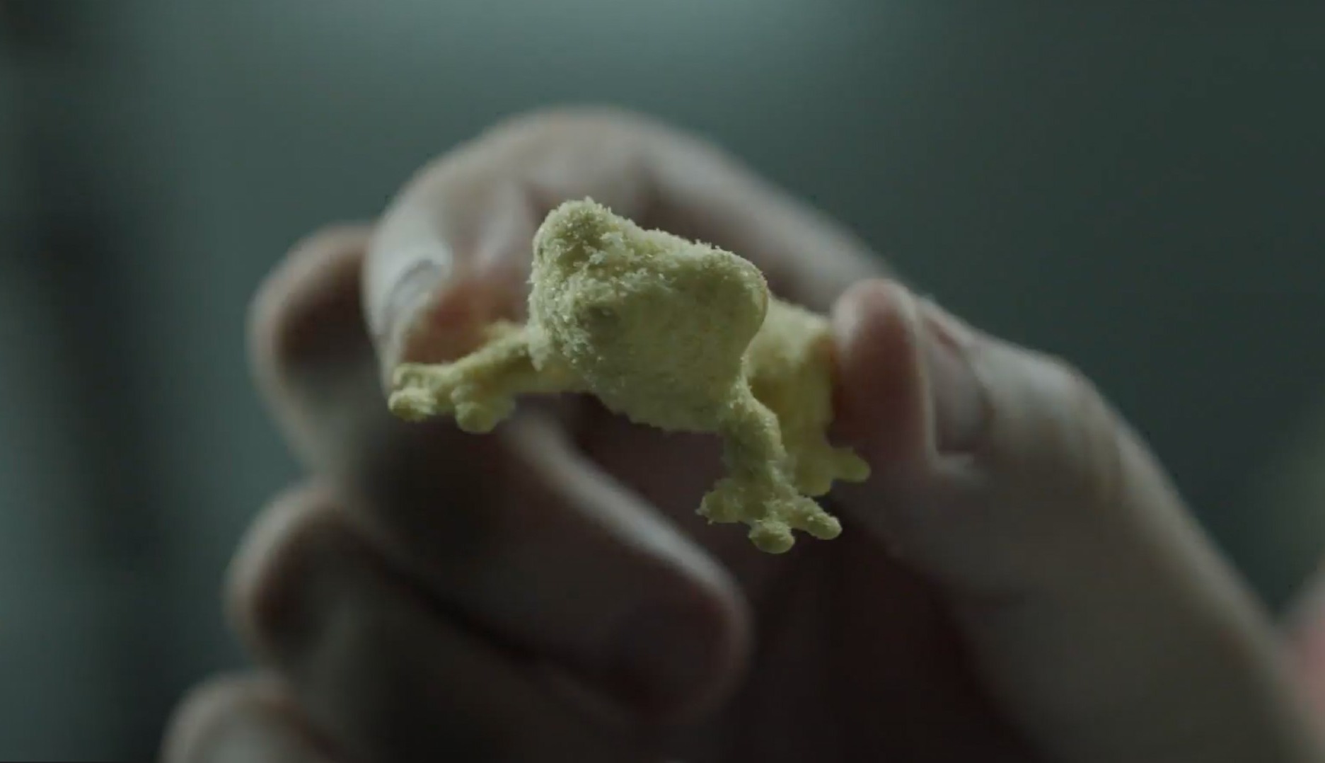 ¿Y si hubieran tenido perfecta forma de rana? Así es la distopía de ...